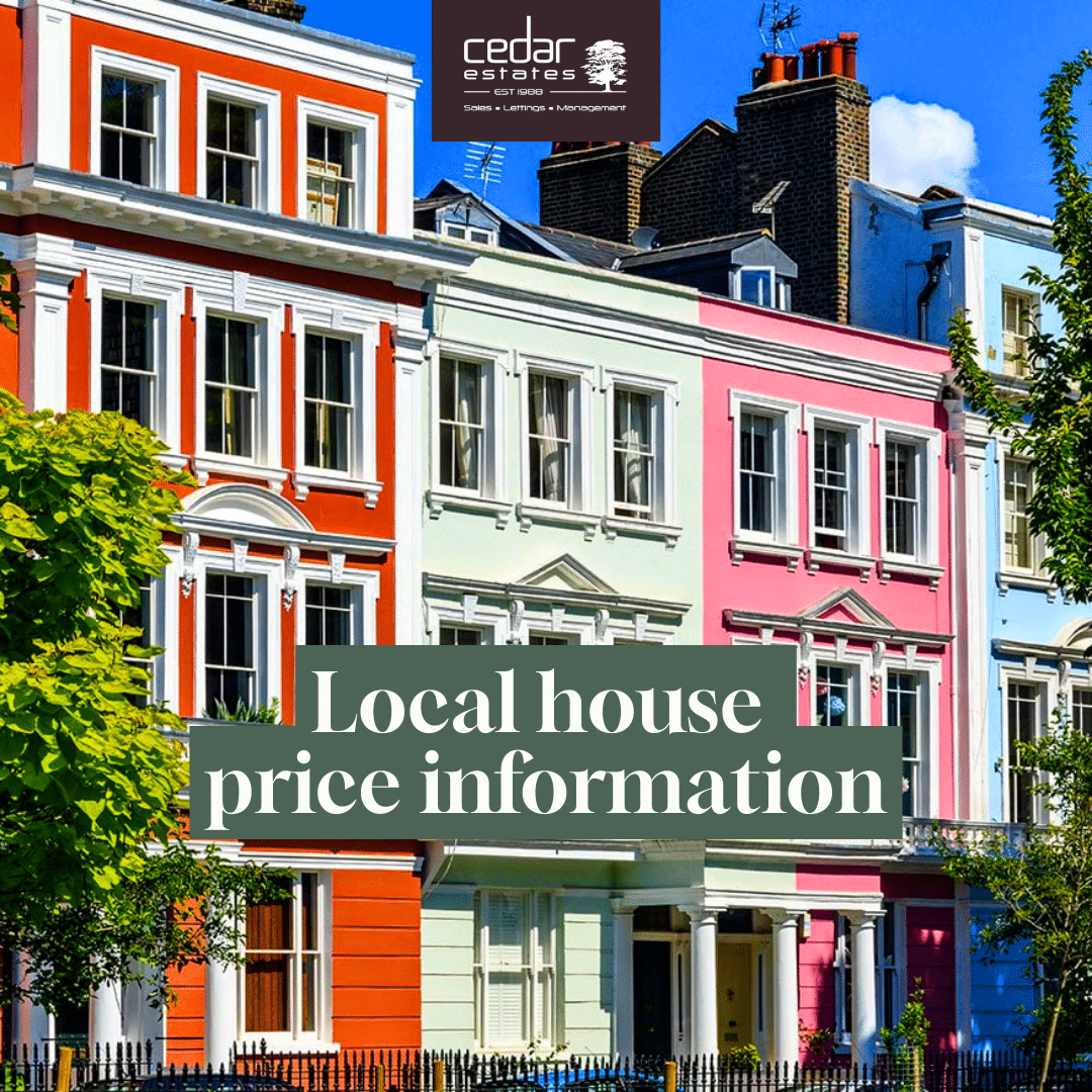 Area Guides | Cedar Estates